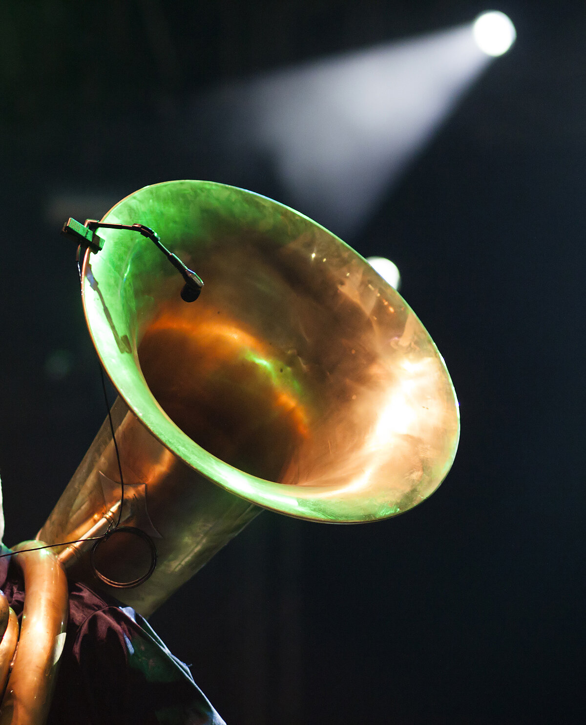 Tromba - trombone: corso estivo | Cesfor